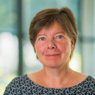 Über DASU – DASU – Transferzentrum für Digitalisierung, Analytics ...